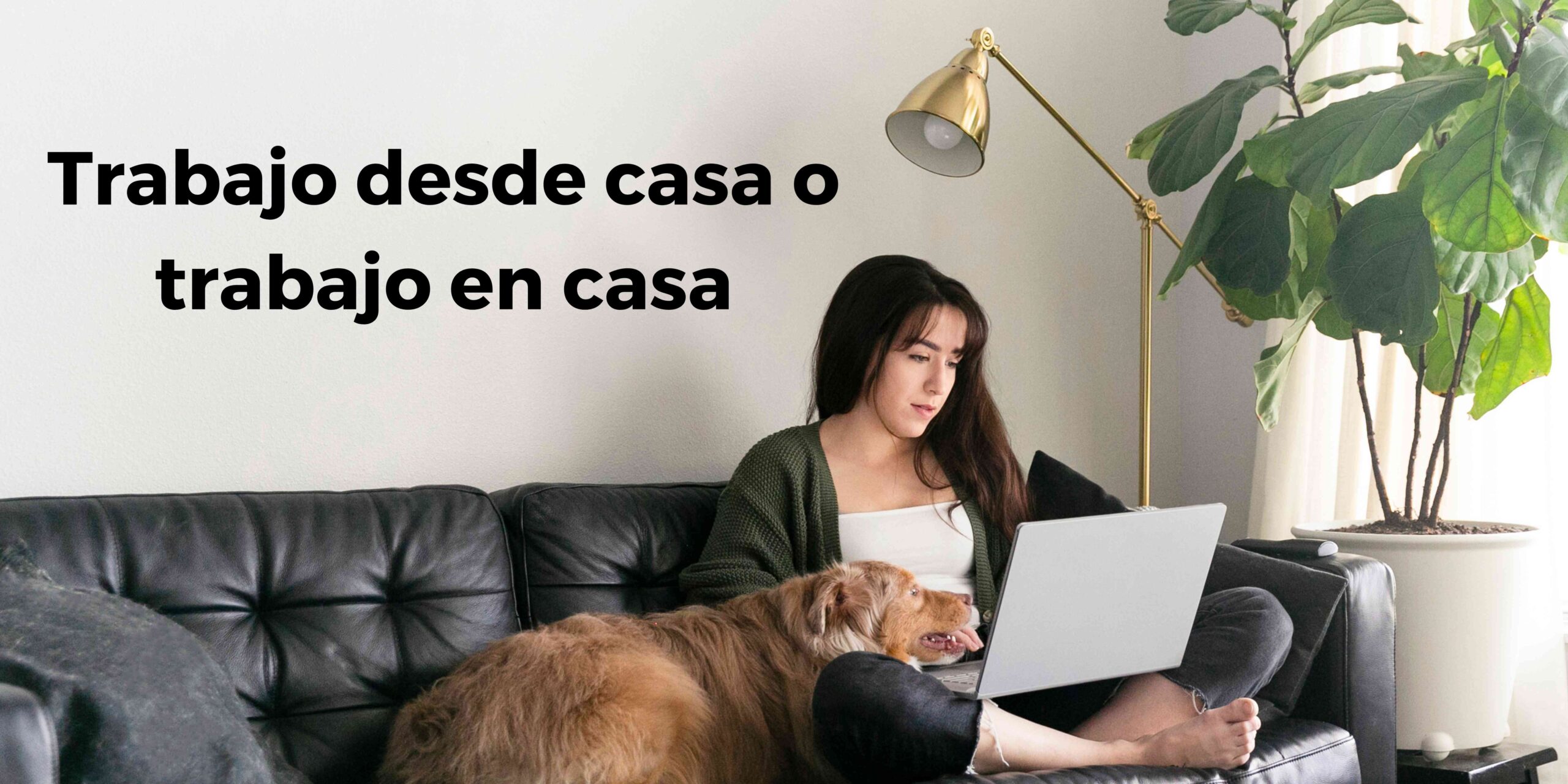Teletrabajo: Trabajo desde casa o trabajo en casa - Sandra Tovar